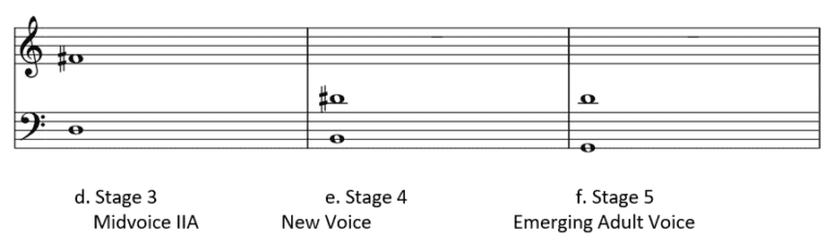 An Abridged Choral Director’s Guide to the Male Voice Change - NAfME
