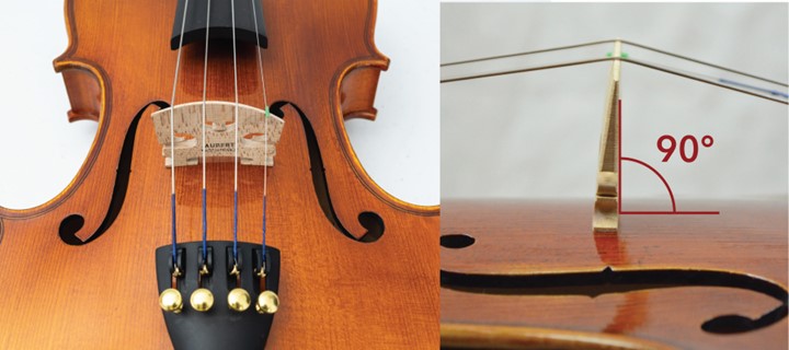 The Importance of Proper Instrument Setup - NAfME